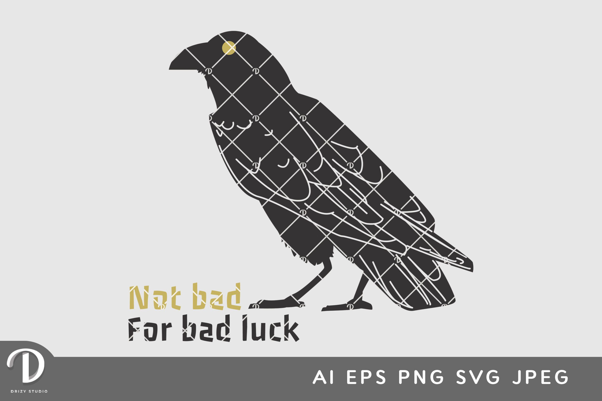 Raven Not Bad for Bad Luck Illustration - Drizy Studio